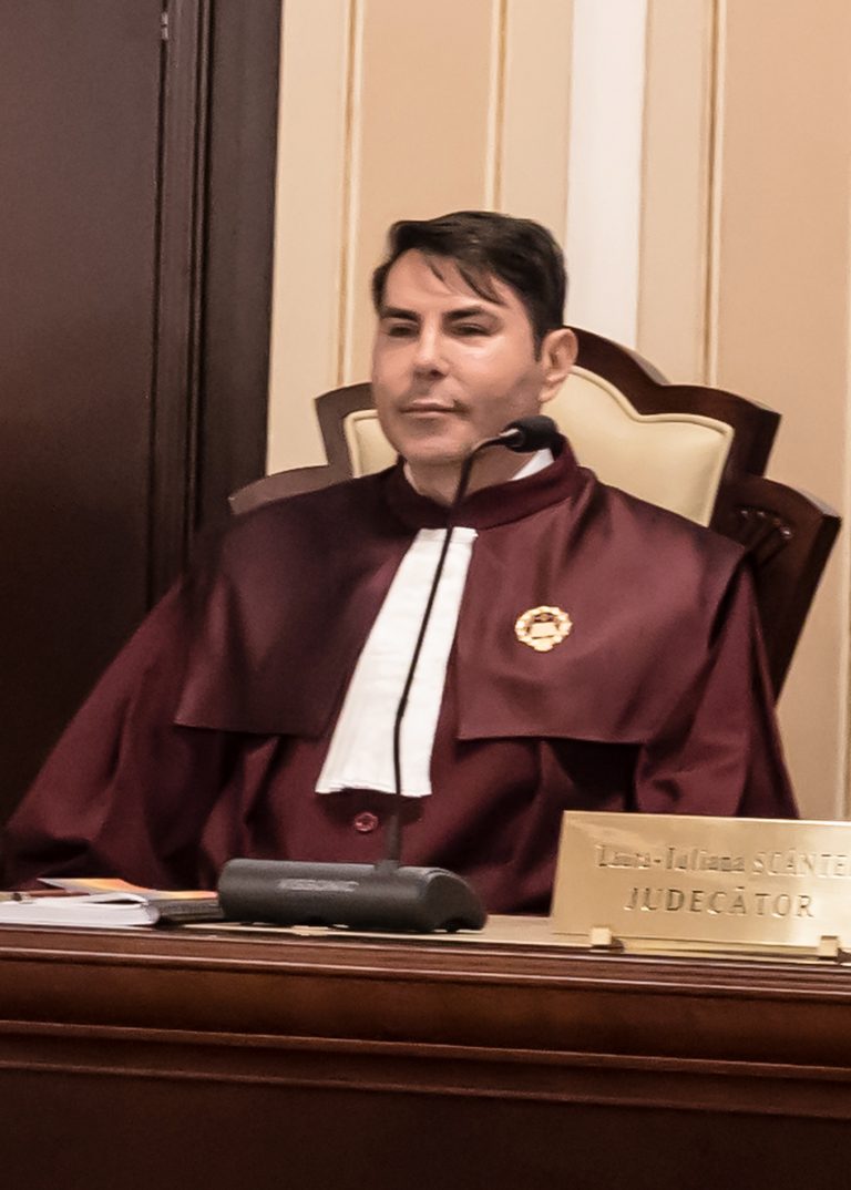 Un concediu paternal va amâna din nou decizia CCR privind legea ...